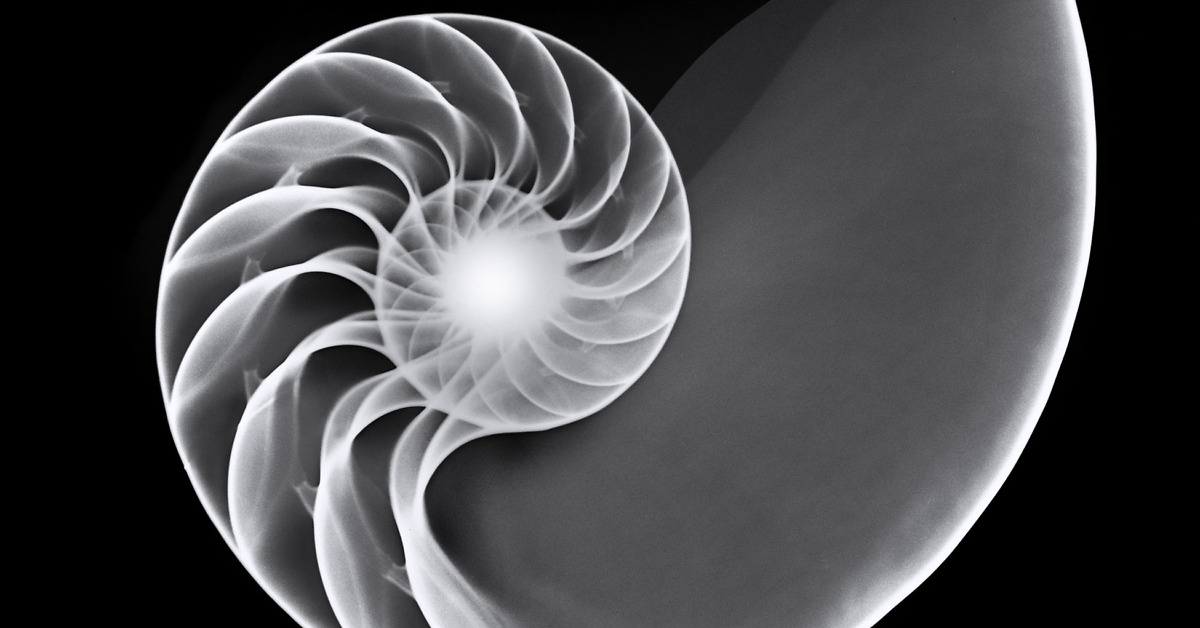 Fluorescencias – ANA ROBLES Photography